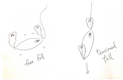 Tensioned fall or free fall? | Japanese Anglers Secrets