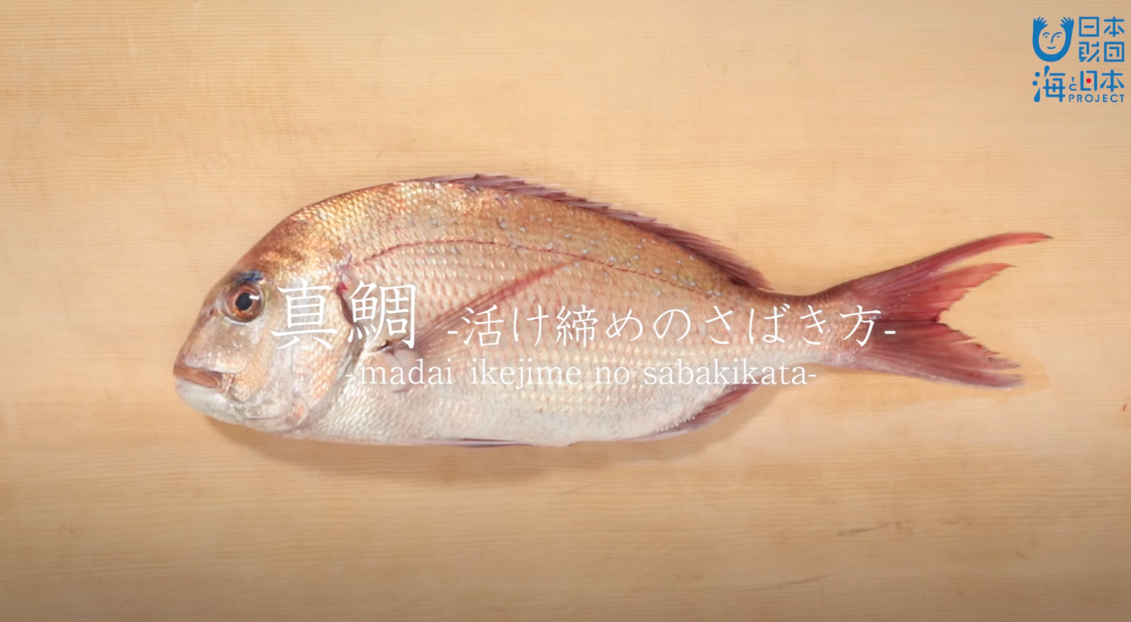 Video Turorials for Preparing Different Fish | Japanese Anglers Secrets